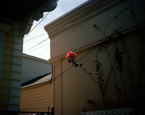 Wesley Ham – BOOOOOOOM! – CREATE * INSPIRE * COMMUNITY * ART * DESIGN ...