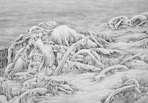 Allyce Wood – BOOOOOOOM! – CREATE * INSPIRE * COMMUNITY * ART * DESIGN ...