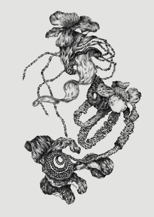 Céli Lee – BOOOOOOOM! – CREATE * INSPIRE * COMMUNITY * ART * DESIGN ...