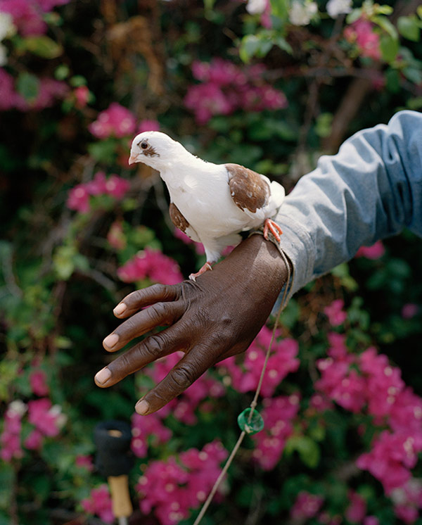 Gregory Halpern – BOOOOOOOM! – CREATE * INSPIRE * COMMUNITY * ART ...