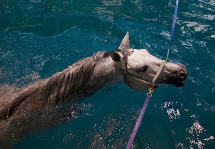 Robin Friend – BOOOOOOOM! – CREATE * INSPIRE * COMMUNITY * ART * DESIGN ...