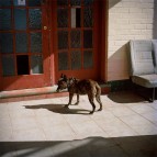 Graham Miller – BOOOOOOOM! – CREATE * INSPIRE * COMMUNITY * ART ...