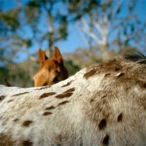 Graham Miller – BOOOOOOOM! – CREATE * INSPIRE * COMMUNITY * ART ...