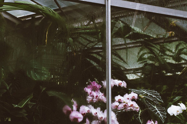 Lisa Sorgini – BOOOOOOOM! – CREATE * INSPIRE * COMMUNITY * ART * DESIGN ...