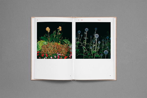 “Strange Plants” book by Zio Baritaux – BOOOOOOOM! – CREATE * INSPIRE ...