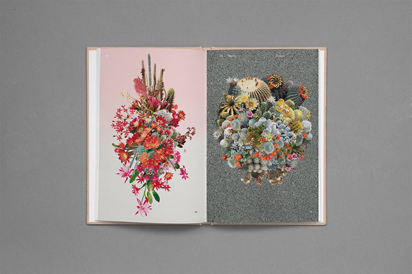 “Strange Plants” book by Zio Baritaux – BOOOOOOOM! – CREATE * INSPIRE ...