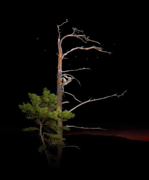 Bear Kirkpatrick – BOOOOOOOM! – CREATE * INSPIRE * COMMUNITY * ART ...