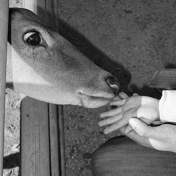 Michael Wolin – BOOOOOOOM! – CREATE * INSPIRE * COMMUNITY * ART ...