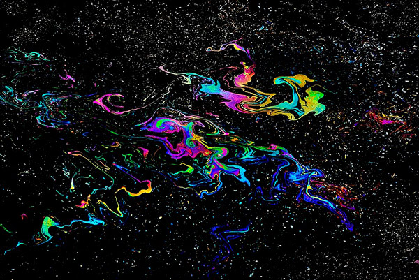 Beautiful Photos of the Disgusting Pollution in a New York Canal by ...