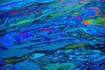 Beautiful Photos of the Disgusting Pollution in a New York Canal by ...