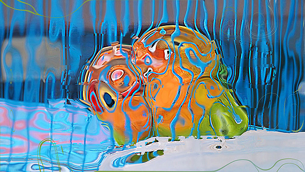 Trippy Video of the Day: Bird Matrix – BOOOOOOOM! – CREATE * INSPIRE ...