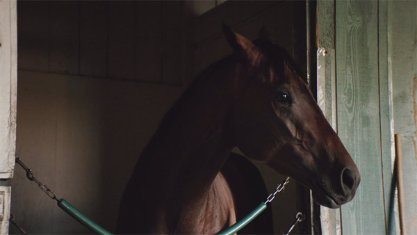 Music Video: Kodaline “Ready” – BOOOOOOOM! – CREATE * INSPIRE ...