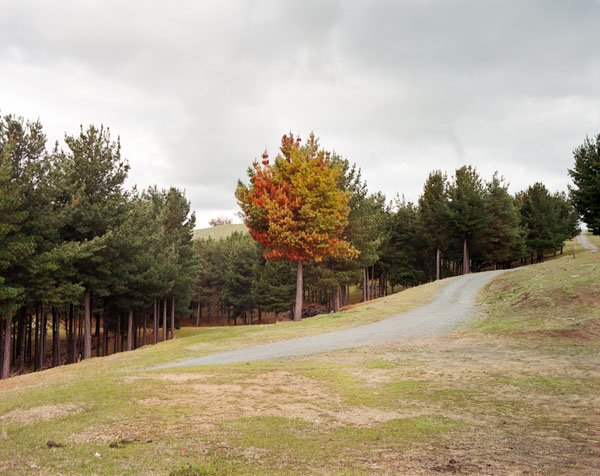 Photographer Spotlight: Chris Round – BOOOOOOOM! – CREATE * INSPIRE ...