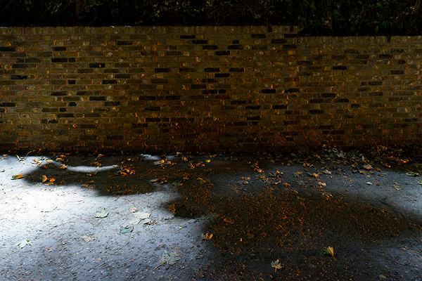 Photographer Spotlight: Frank Callaghan – BOOOOOOOM! – CREATE * INSPIRE ...