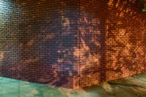 Photographer Spotlight: Frank Callaghan – BOOOOOOOM! – CREATE * INSPIRE ...