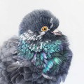 Giant Oil Paintings of Instagram-Famous Pigeon by Belgian Artist Adele ...