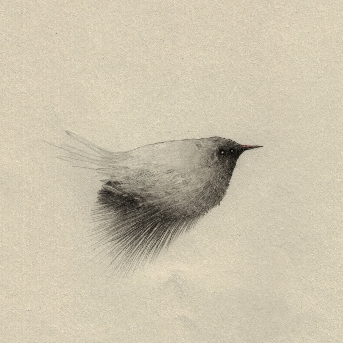 Artist Spotlight: Andrew Smith – BOOOOOOOM! – CREATE * INSPIRE ...