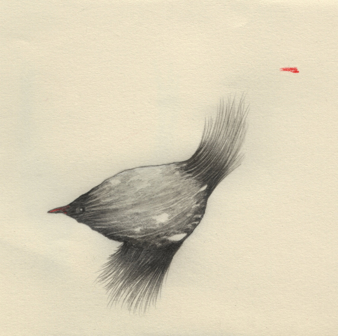 Artist Spotlight: Andrew Smith – BOOOOOOOM! – CREATE * INSPIRE ...