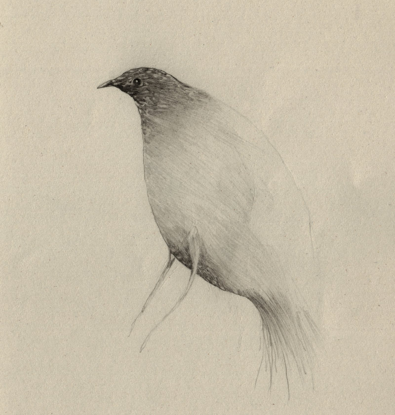 Artist Spotlight: Andrew Smith – BOOOOOOOM! – CREATE * INSPIRE ...