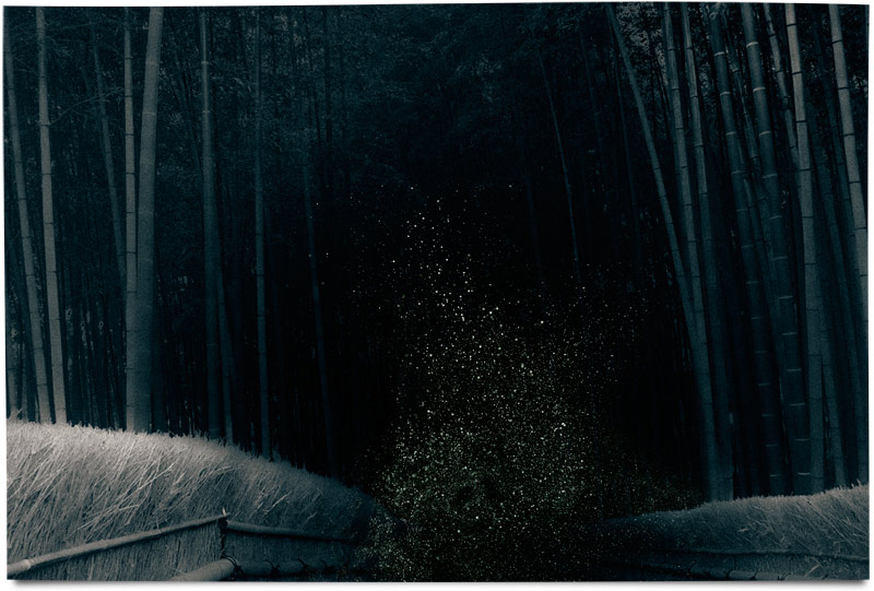 Photographer Spotlight: Angel Albarrán and Anna Cabrera – BOOOOOOOM ...