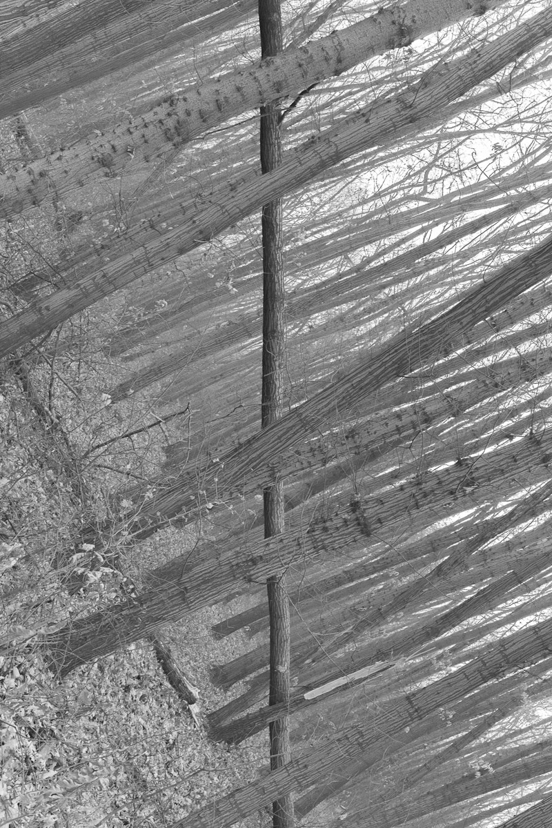 Photographer Spotlight: Denis Cherim – BOOOOOOOM! – CREATE * INSPIRE ...