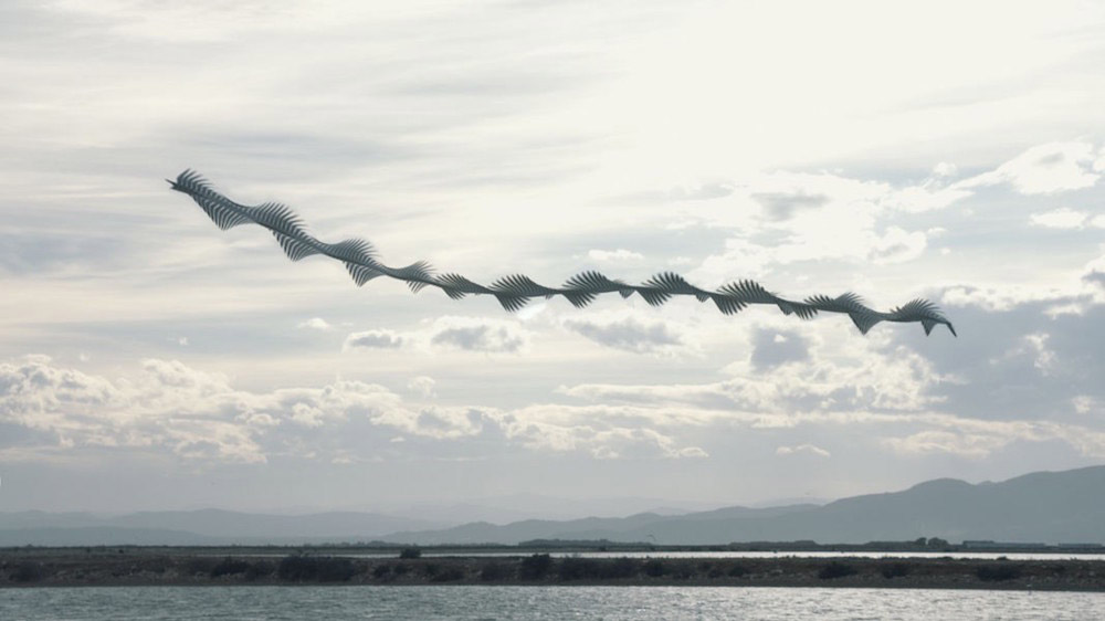Photos of Birds in Flight Seamlessly Strung Together – BOOOOOOOM ...