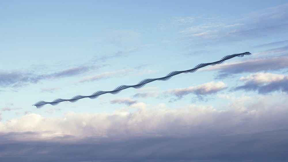 Photos of Birds in Flight Seamlessly Strung Together – BOOOOOOOM ...