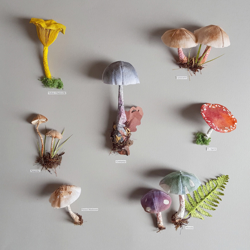 Botanical Sculptures Made From Recycled Paper by Artist Kate Kato ...