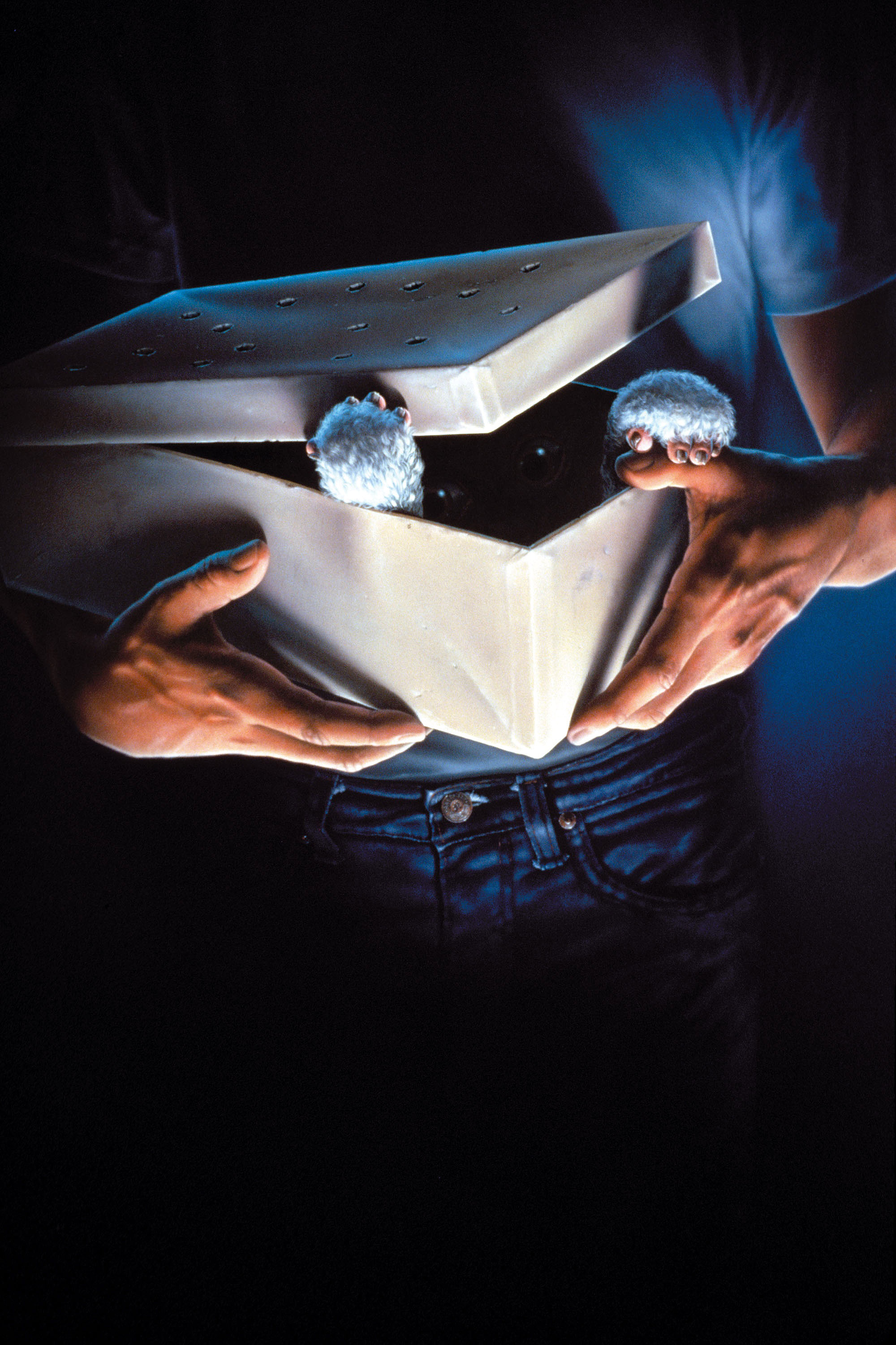 Collection of 80 High-Res Textless Movie Posters – BOOOOOOOM! – CREATE ...