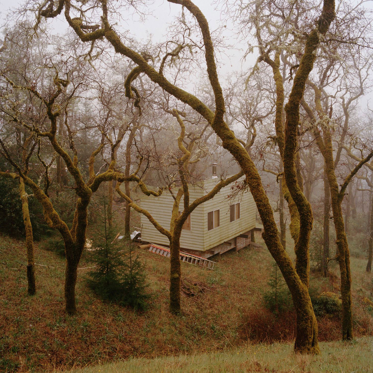 Photographer Spotlight: Ying Ang – BOOOOOOOM! – CREATE * INSPIRE ...