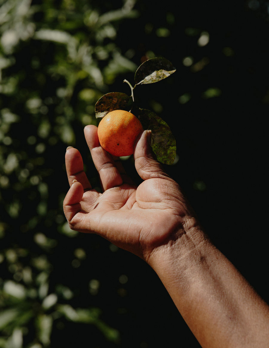 Photographer Spotlight: Daniel Shea – BOOOOOOOM! – CREATE * INSPIRE ...