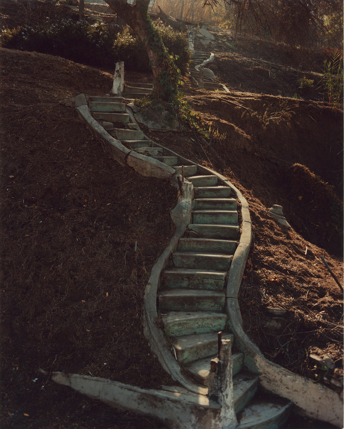 Photographer Spotlight: Gregory Halpern – BOOOOOOOM! – CREATE * INSPIRE ...