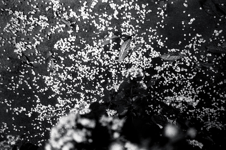 Photographer Spotlight: Anna Block – BOOOOOOOM! – CREATE * INSPIRE ...