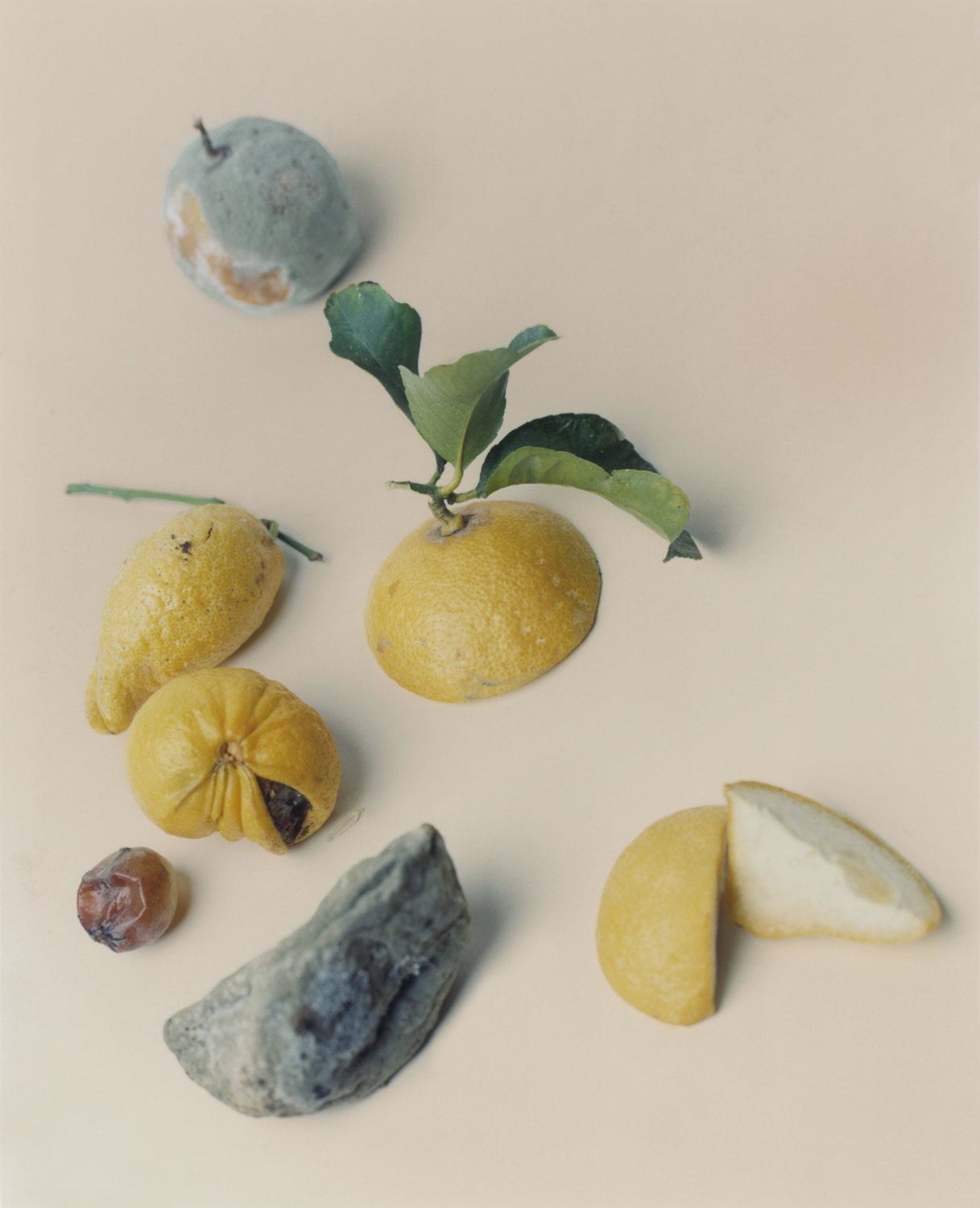 Photographer Spotlight: Harley Weir – BOOOOOOOM! – CREATE * INSPIRE ...