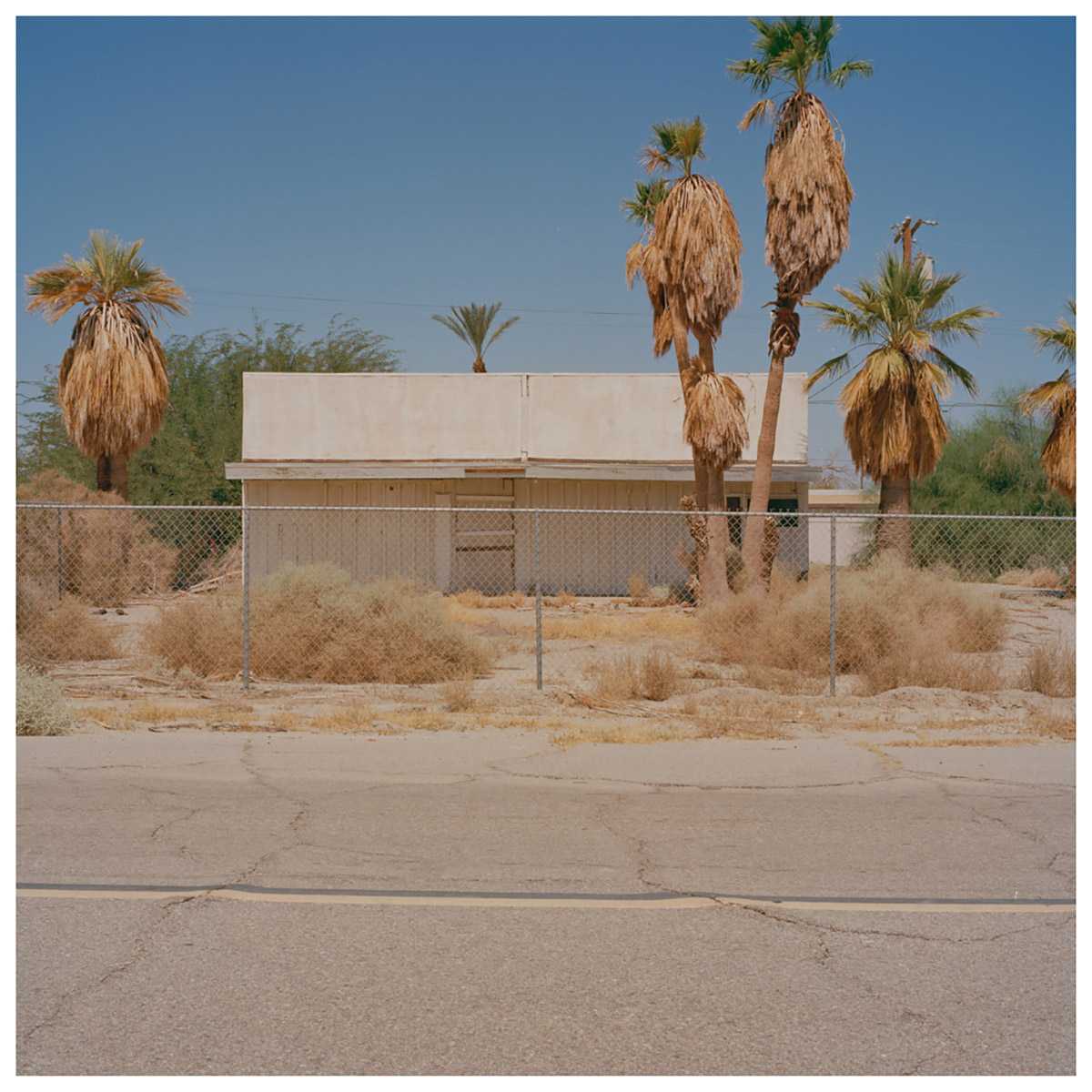 Photographer Spotlight: Anthony Gerace – BOOOOOOOM! – CREATE * INSPIRE ...