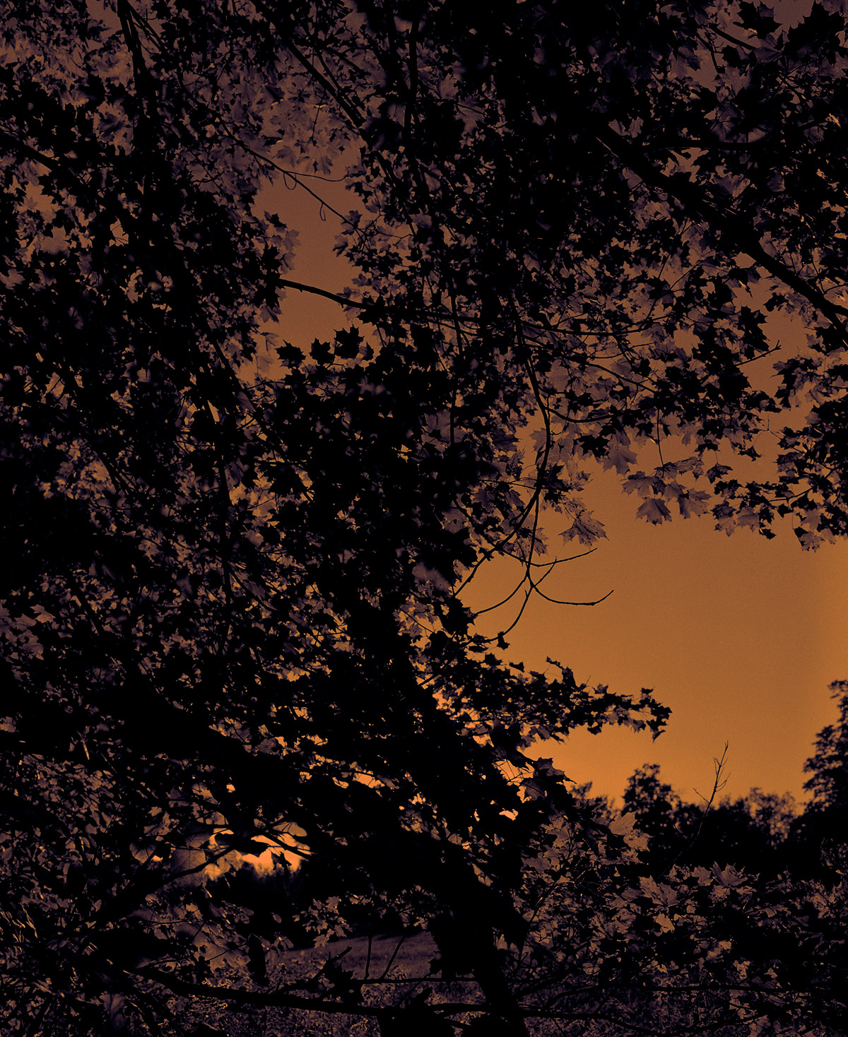 Photographer Spotlight: Brendan George Ko – BOOOOOOOM! – CREATE ...