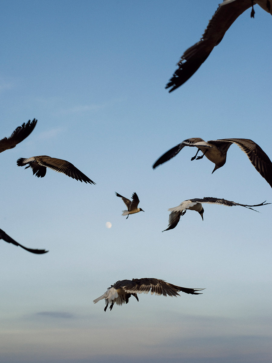 Photographer Spotlight: Mark Hartman – BOOOOOOOM! – CREATE * INSPIRE ...