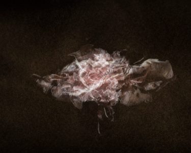 Photographer Spotlight: Morgen Van Vorst – BOOOOOOOM! – CREATE ...