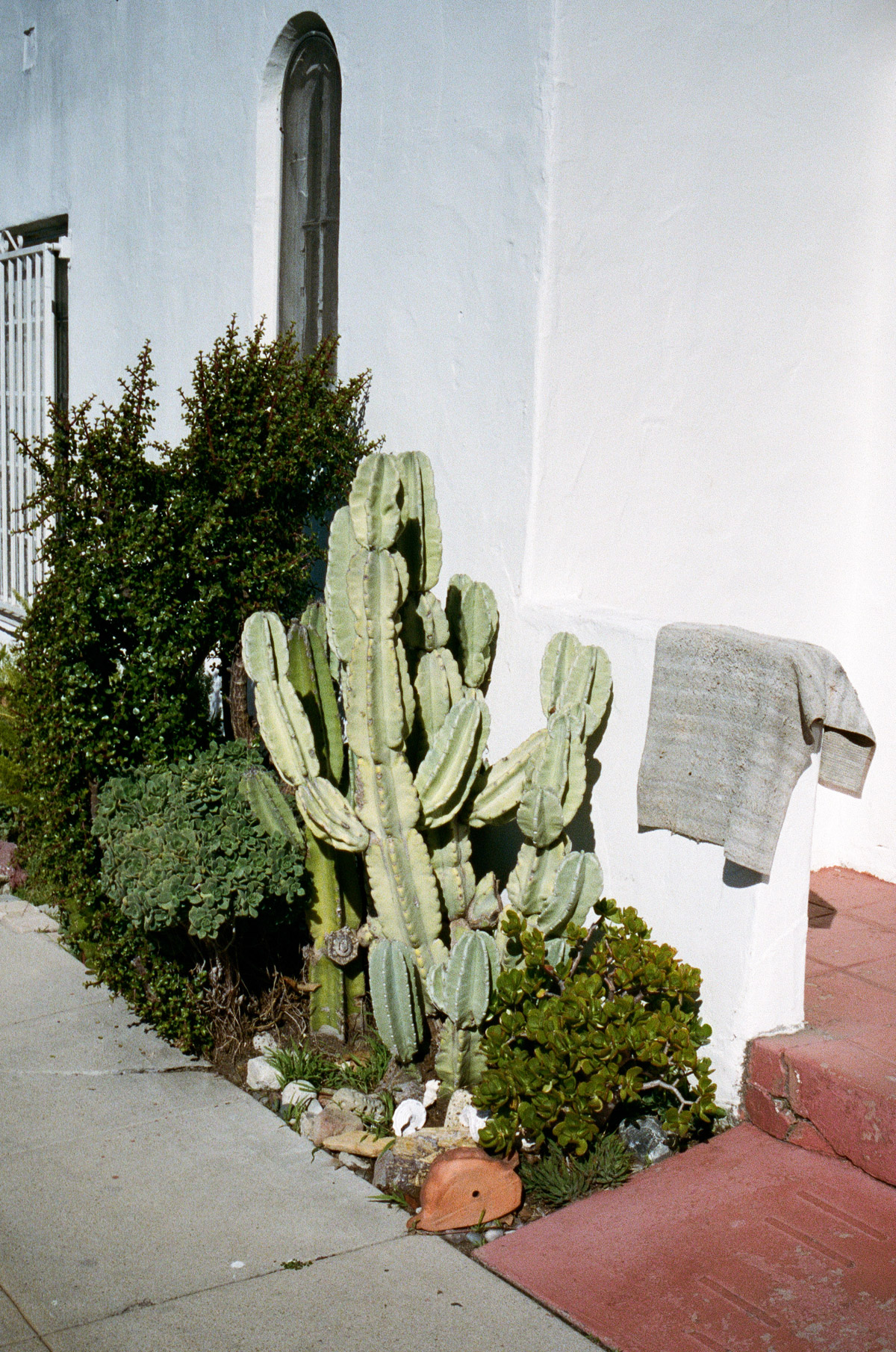 Photographer Spotlight: Pat O’Rourke – BOOOOOOOM! – CREATE * INSPIRE ...