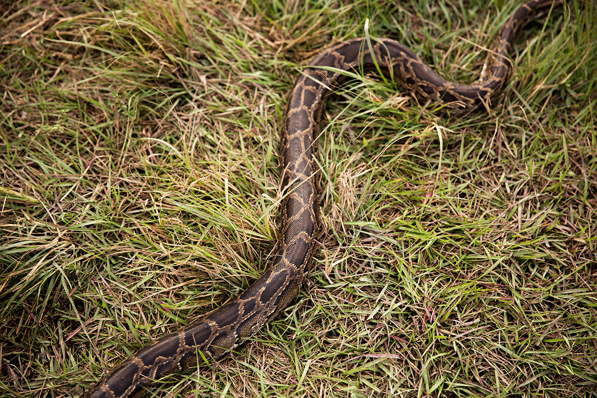 “On The Hunt” by Photographer Dylan Johnston – BOOOOOOOM! – CREATE ...