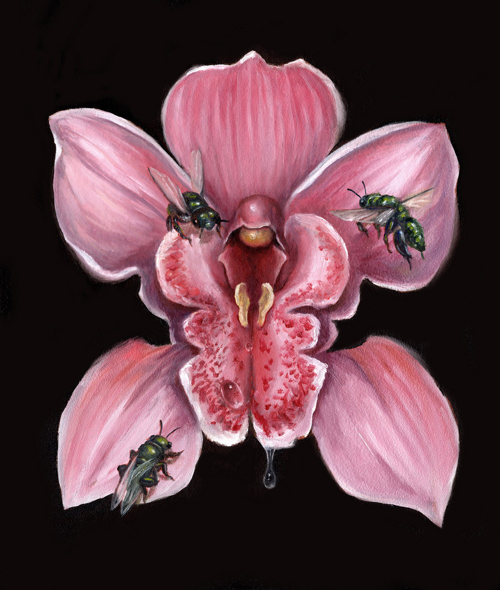 Artist Spotlight: Sam Yong – BOOOOOOOM! – CREATE * INSPIRE * COMMUNITY ...