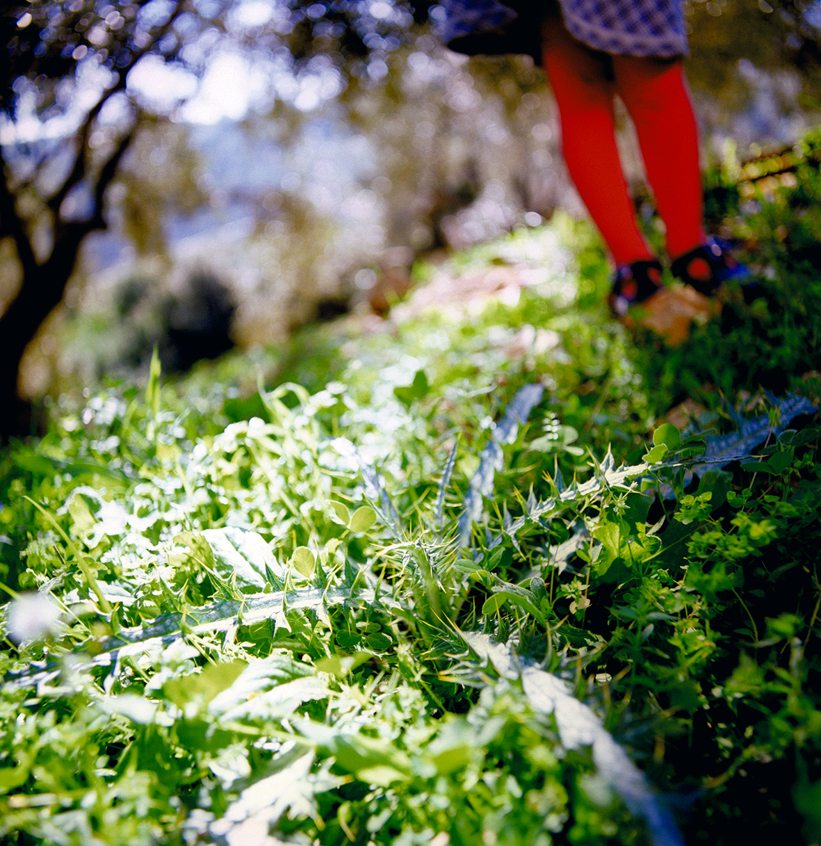 Photographer Spotlight: Stratos Kalafatis – BOOOOOOOM! – CREATE ...