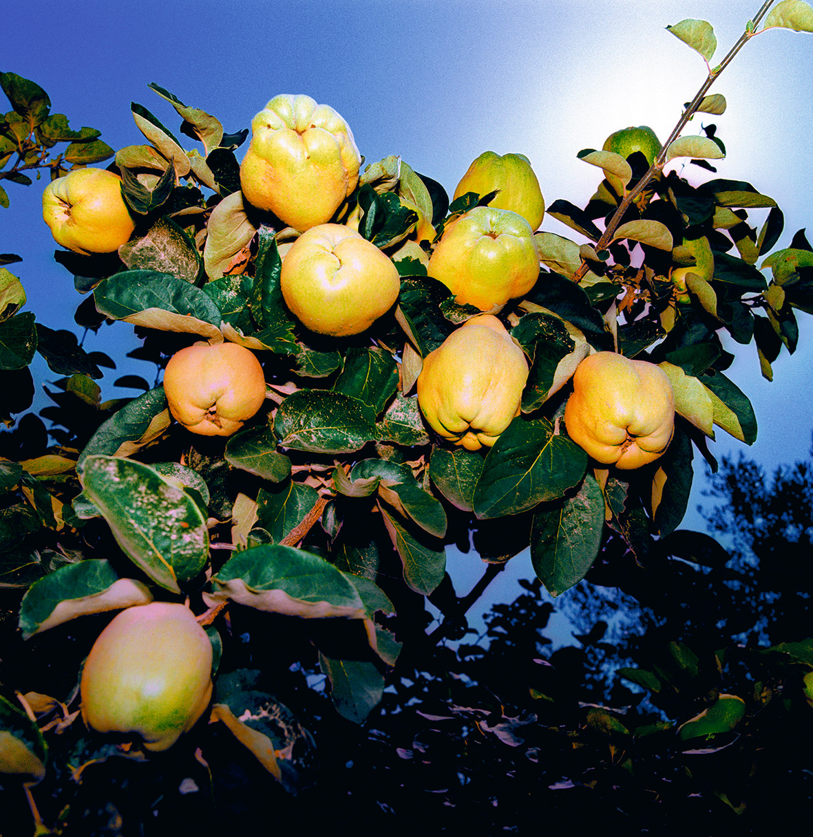 Photographer Spotlight: Stratos Kalafatis – BOOOOOOOM! – CREATE ...