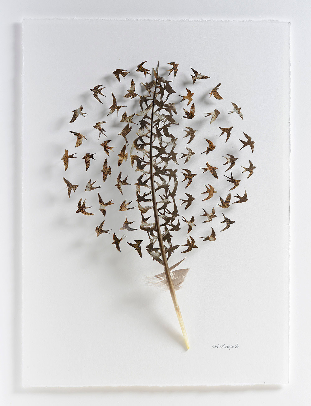 Beautiful Cut Feather Art by Chris Maynard – BOOOOOOOM! – CREATE ...
