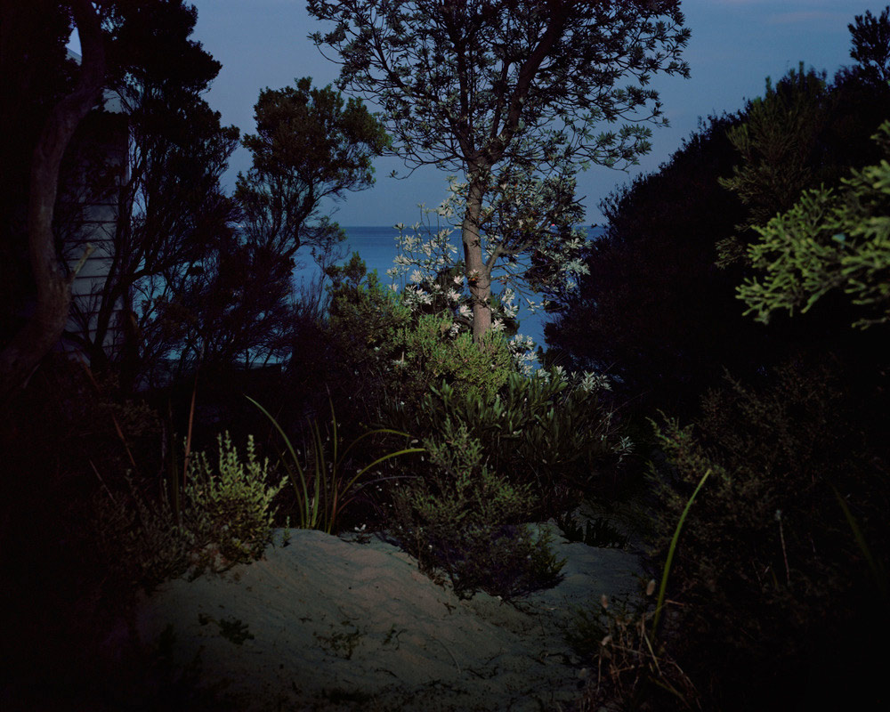 Photographer Spotlight: William Broadhurst – BOOOOOOOM! – CREATE ...