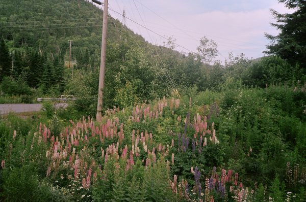 Photographer Spotlight: Stanley Bloom – BOOOOOOOM! – CREATE * INSPIRE ...