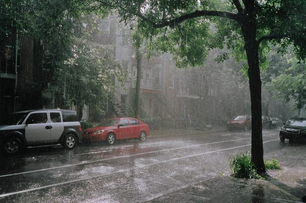 Photographer Spotlight: Stanley Bloom – BOOOOOOOM! – CREATE * INSPIRE ...