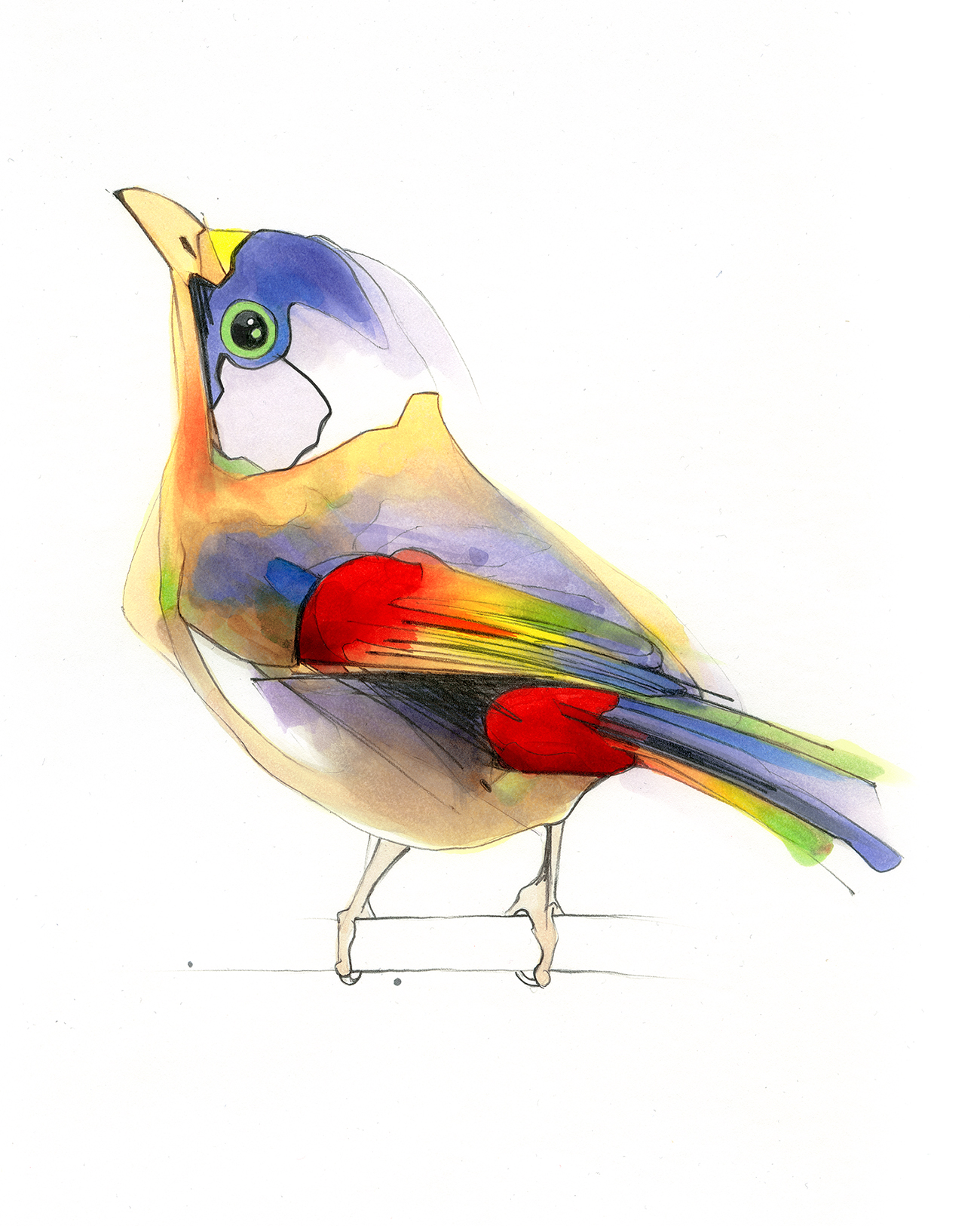 Aves – BOOOOOOOM! – CREATE * INSPIRE * COMMUNITY * ART * DESIGN * MUSIC ...