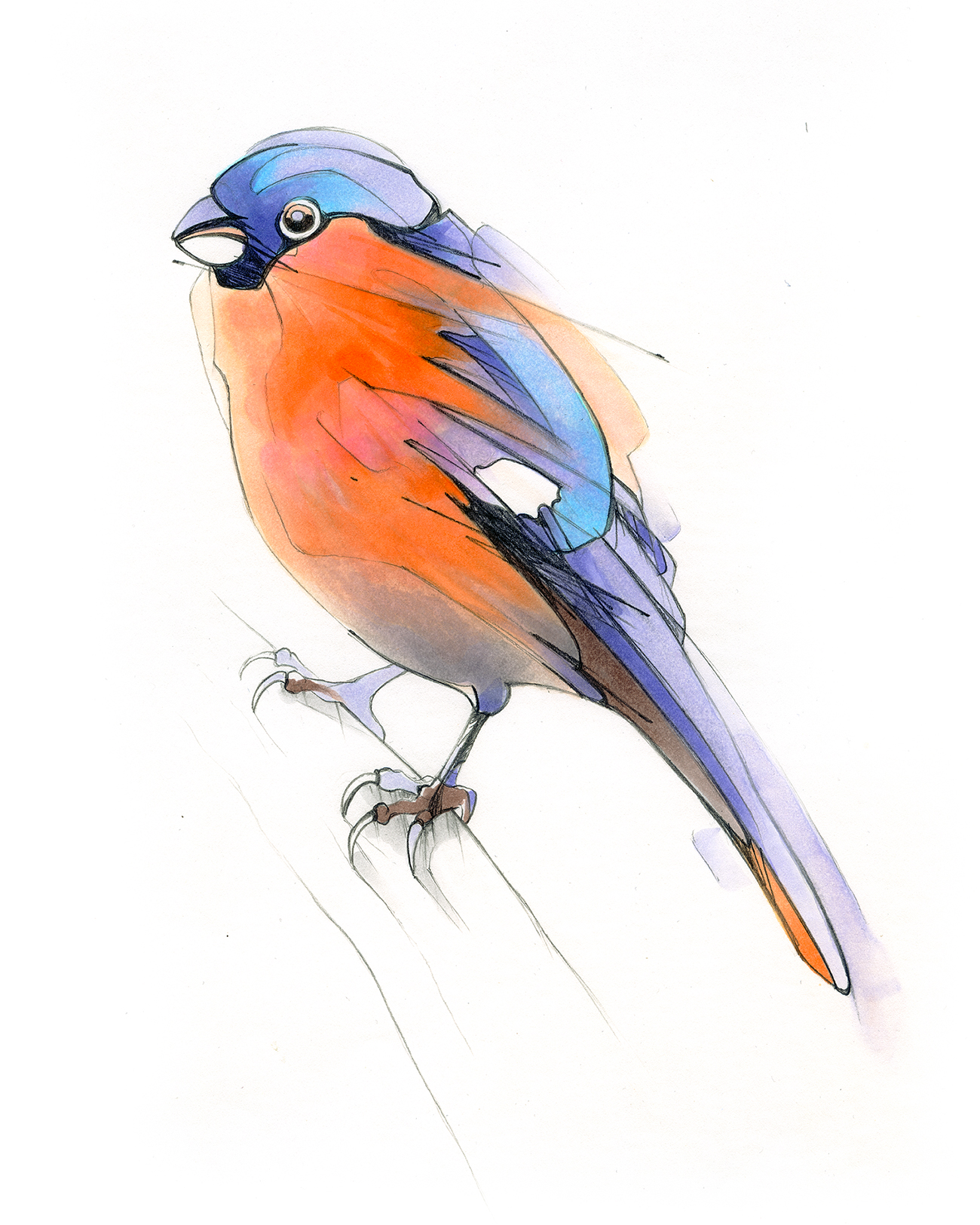 Aves – BOOOOOOOM! – CREATE * INSPIRE * COMMUNITY * ART * DESIGN * MUSIC ...