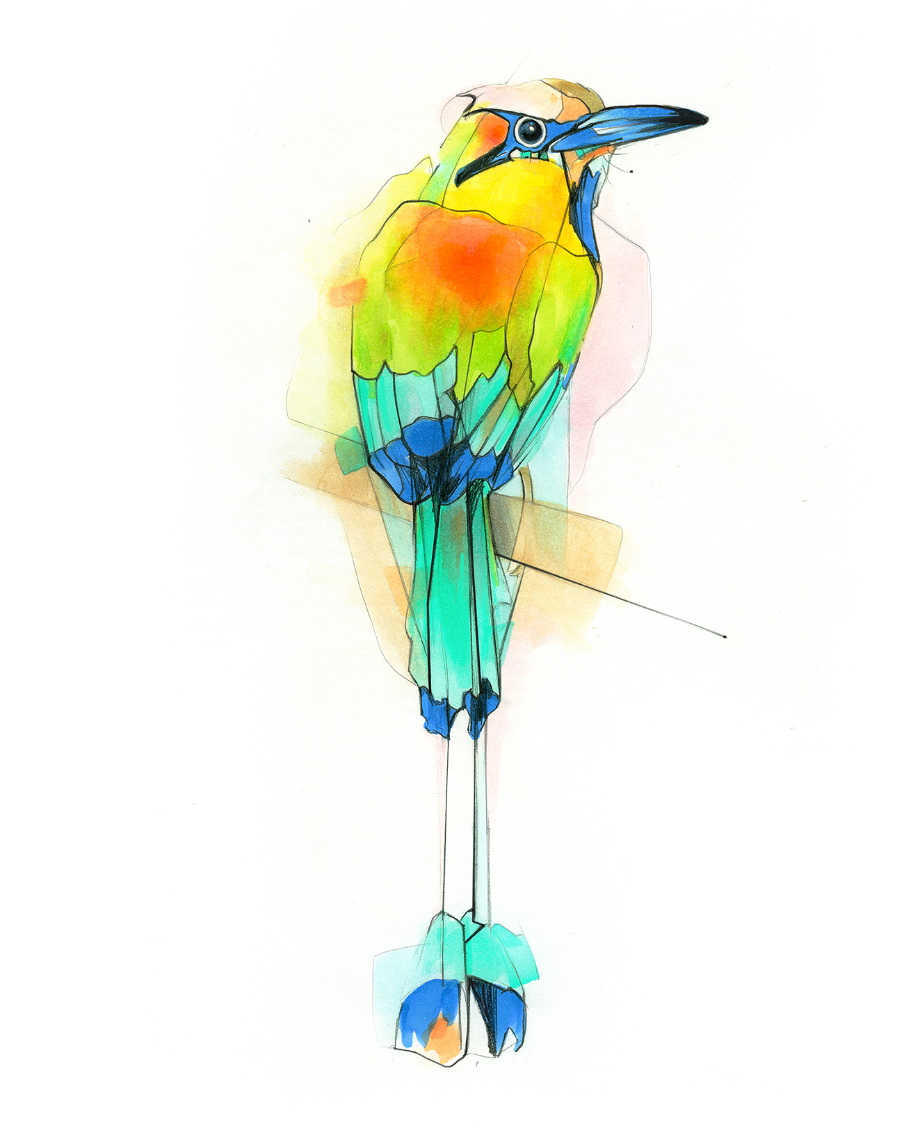 Aves – BOOOOOOOM! – CREATE * INSPIRE * COMMUNITY * ART * DESIGN * MUSIC ...